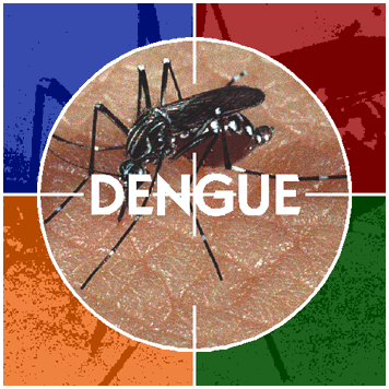 Holy Mother & Kids: What is Dengue Fever