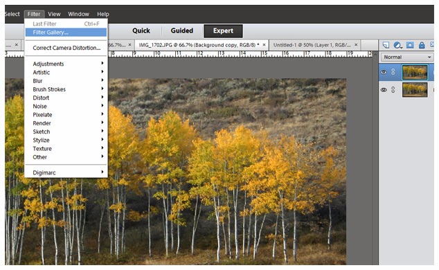 Images-byRamona: Using Poster Edges for Definition