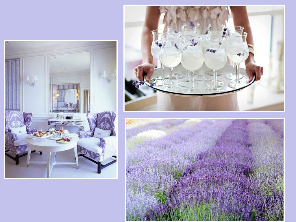 Design + Obsessed: {Shades of Lavender}