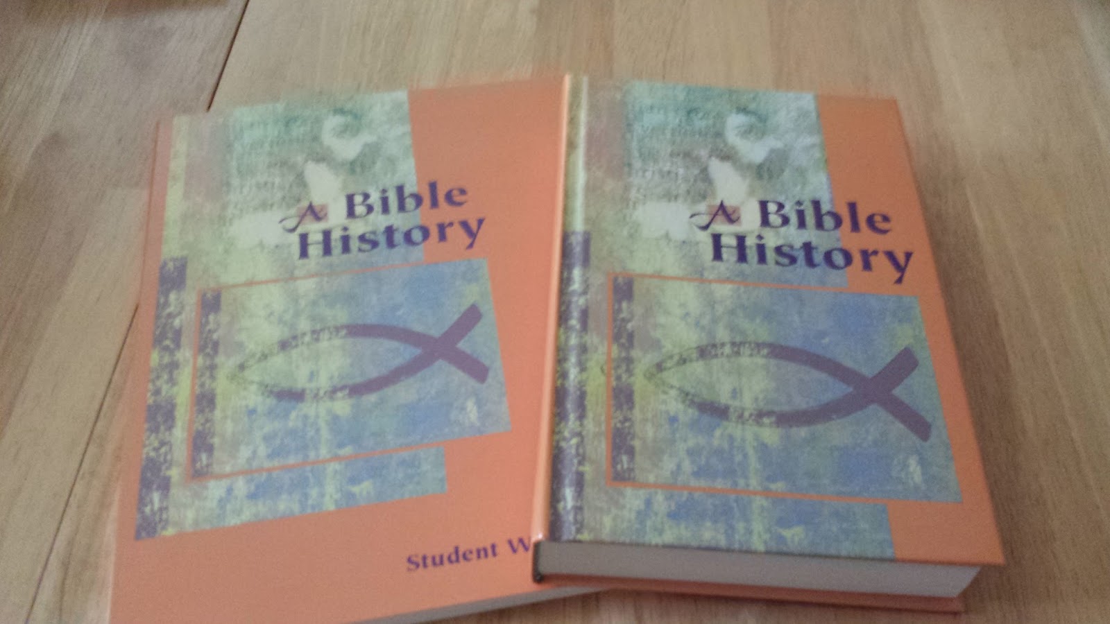 The Joy of School: Seventh Grade Curriculum for 2013-2014