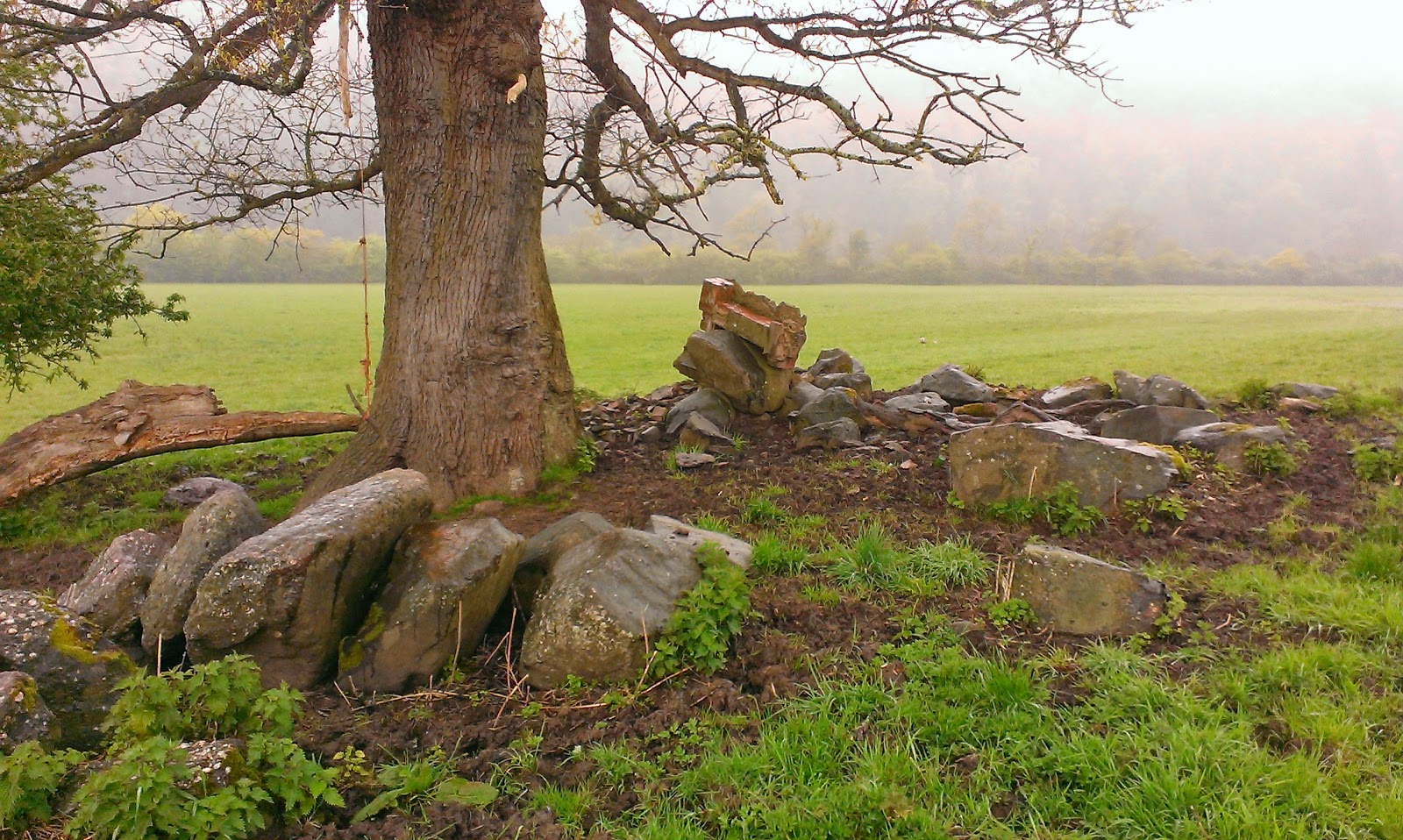 Landscapism: The last field in England
