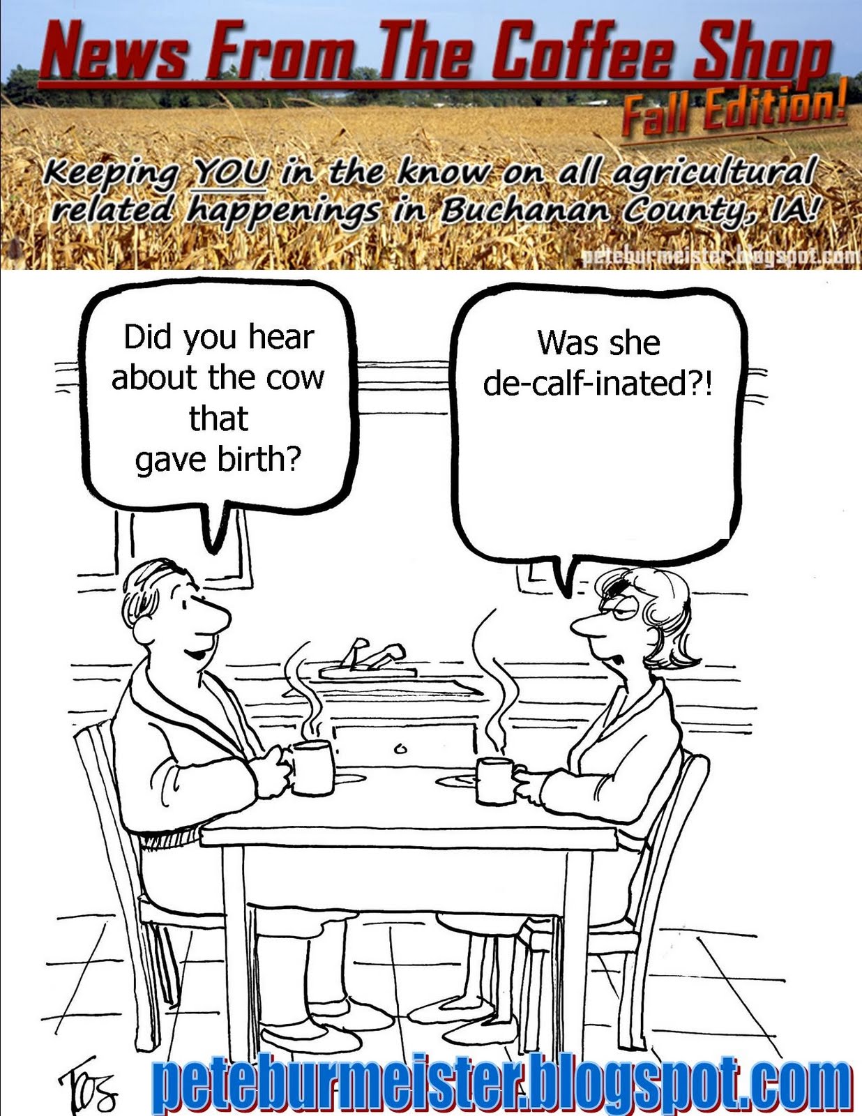 NEWS FROM THE COFFEE SHOP: Coffee Shop Humor