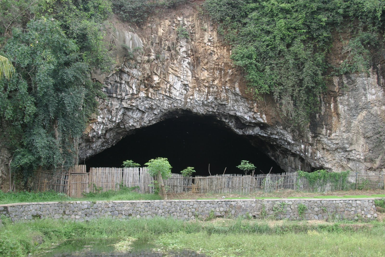 Goa Lalay - Homecare24