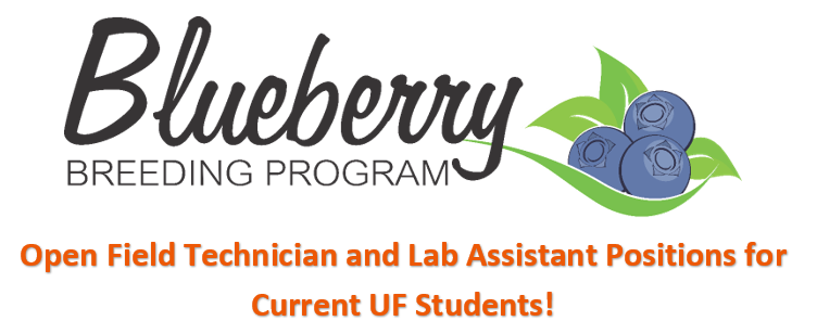 UF Blueberry Breeding Lab Assistant - UF/IFAS Animal Sciences Department