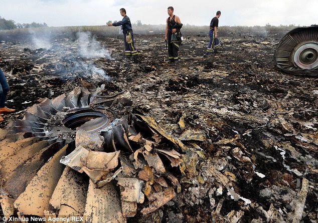 Malaysia Airlines Flight MH 17 - Were We Caught Napping? | Sri Lanka ...