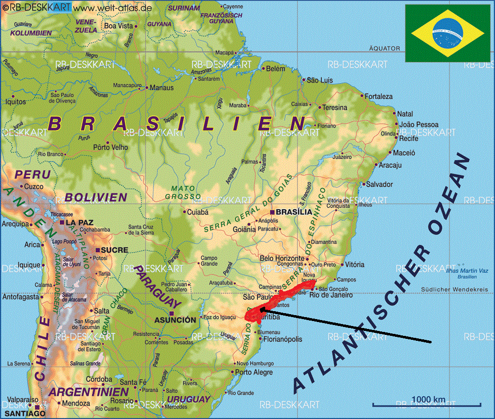 Laberinto en extinción: Muriki (Brachyteles arachnoides)