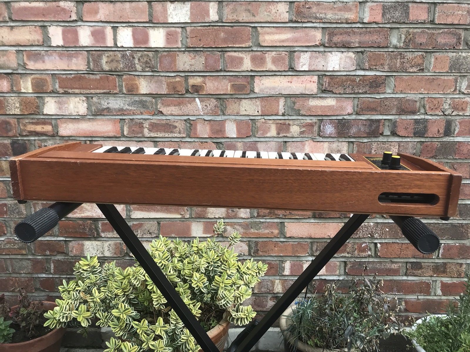 MATRIXSYNTH: RARE EDP Caterpillar for EDP Wasp Gnat Synth