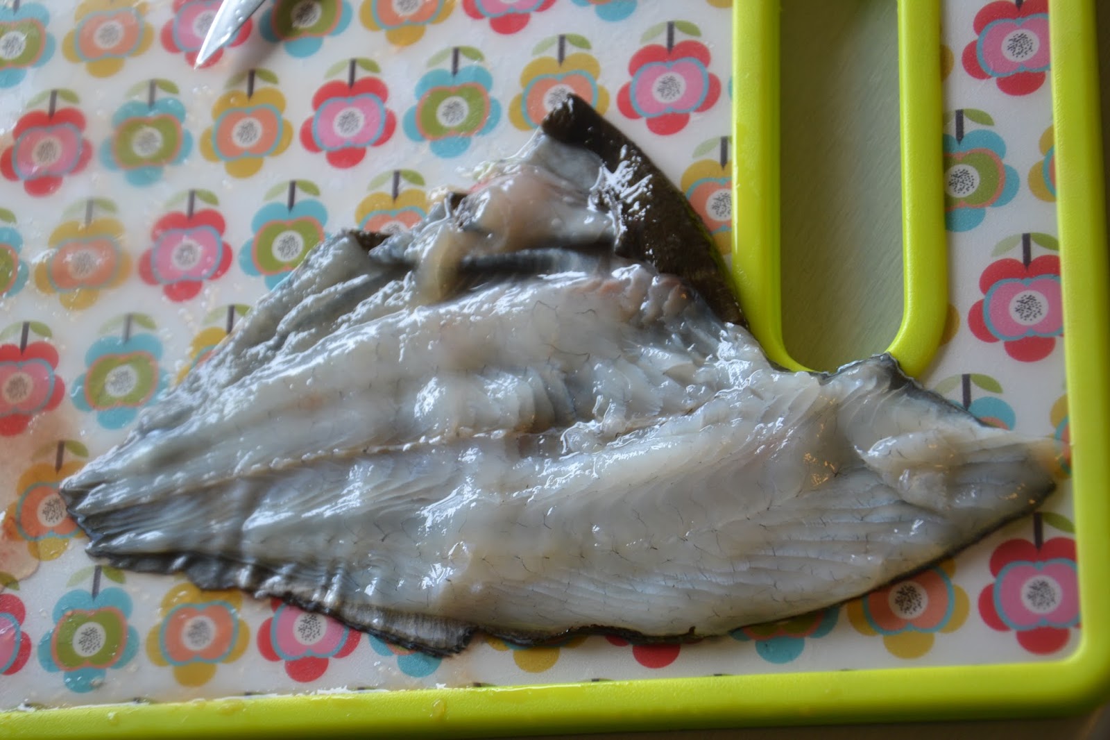 Oppdag Fisk!: Sandflyndre/Common Dab/Limanda Limanda (Saltvann)