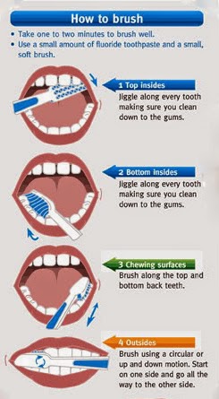 How to Brush Your Teeth Correctly: How to Brush Your Teeth Correctly ...