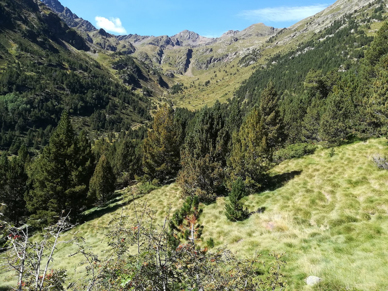 Montaña paso a paso: Coma de Ransol al refugio de Coms de Jan