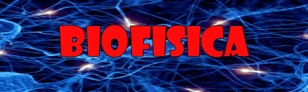 Biofisica