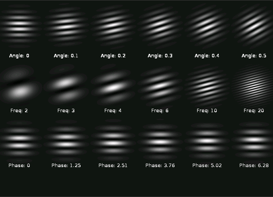 Health Info and Tips: Train the brain to keep your eyes healthy