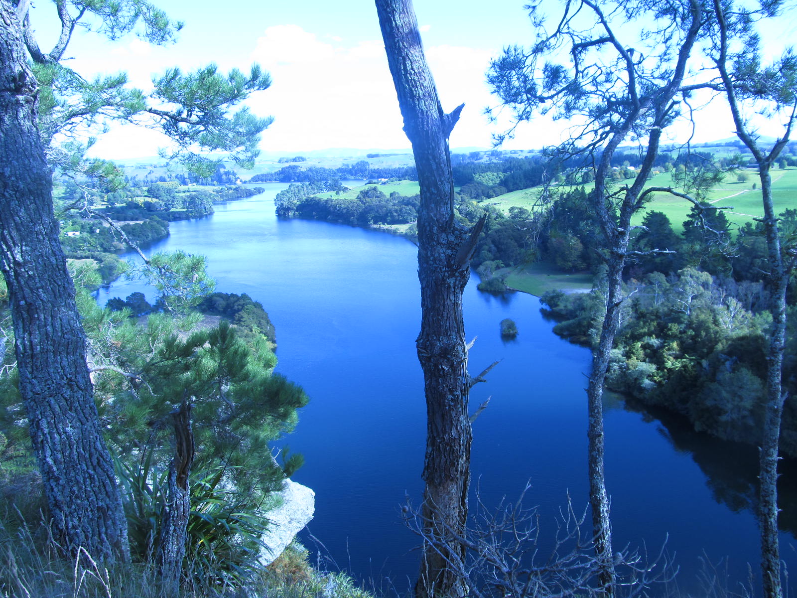 Our Backyard NZ.: The Waikato River Trails - Arapuni section