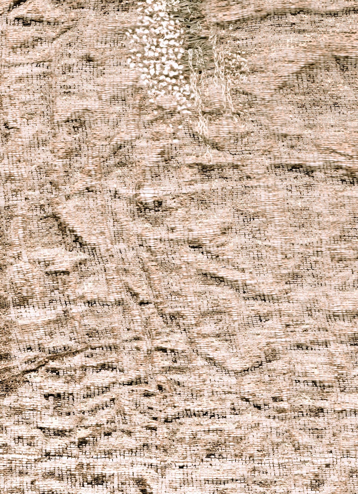 Anna Columbine: Stitch and Scan.