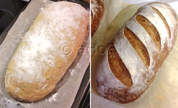 A Harmony of Flavors: A Continuing Love Affair with Bread Making