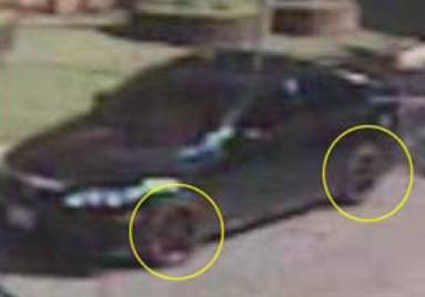 CANDIDATOS PRESIDENCIALES: Asesinato de Abogado Rodrigo Rosenberg Parte III