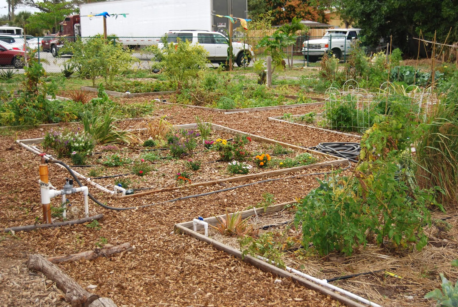 Helen A. Lockey: Tea-In-The-Garden at Fruitful Fields, Pompano, Fla.