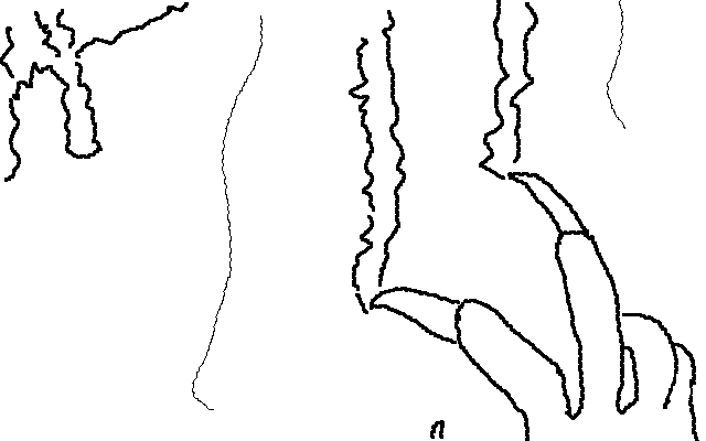 Aryathan Jiil: Kill Bargle: ECL8 Tore Troll 5: Entry 1