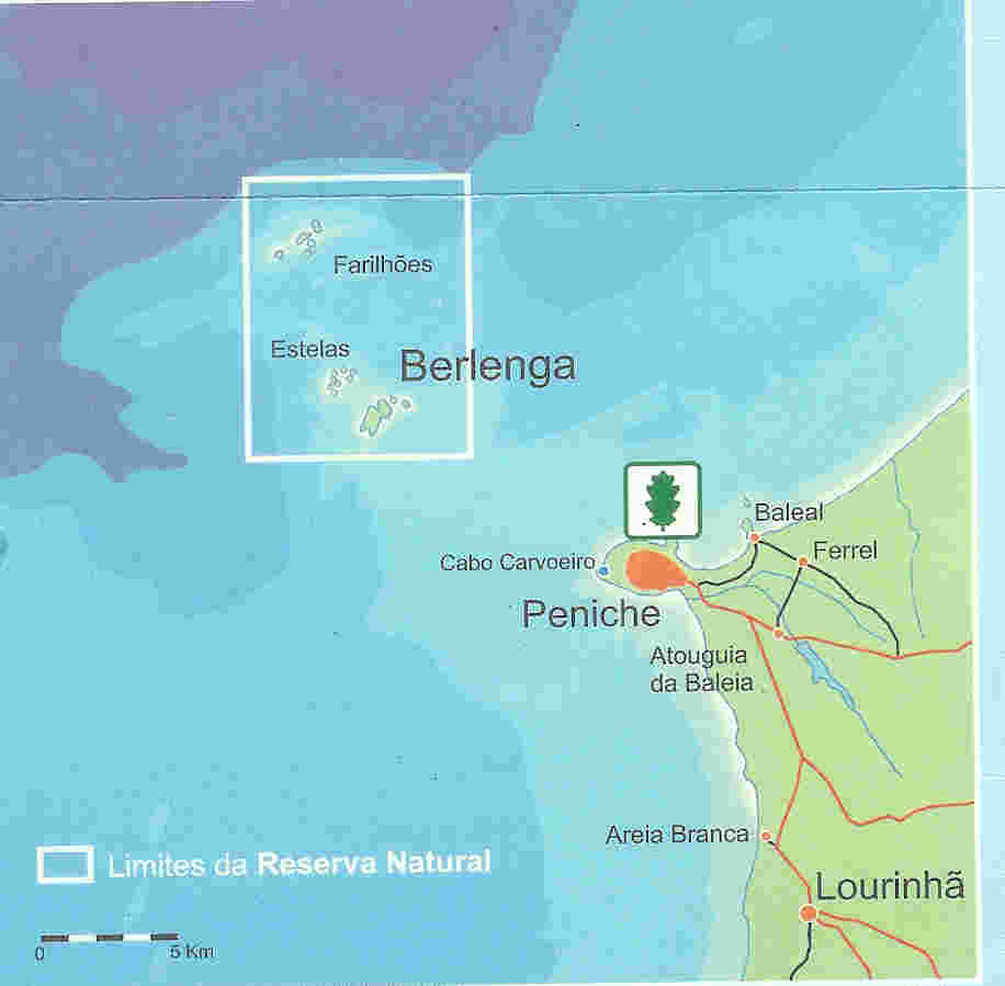 O MEU PORTUGAL:SEUS LOCAIS ESPECIAIS, FESTAS E ROMARIAS: BERLENGAS