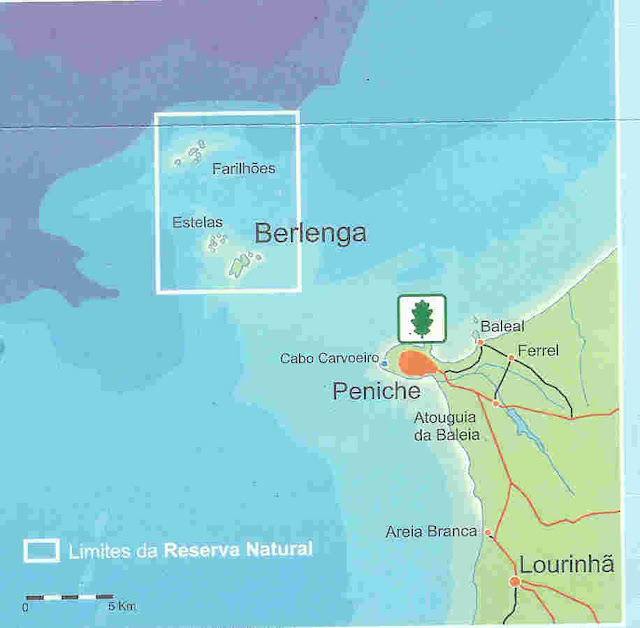 O MEU PORTUGAL:SEUS LOCAIS ESPECIAIS, FESTAS E ROMARIAS: BERLENGAS