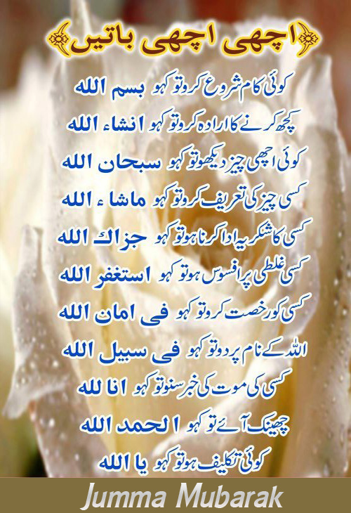 Rose: Jumma mubarak Hadees