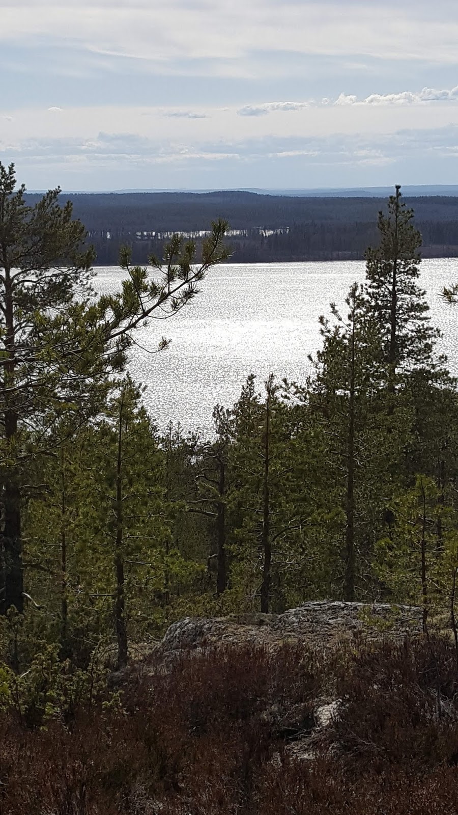 Nordlig utpost: Vandring i nära landskap 4 - Bälingeberget