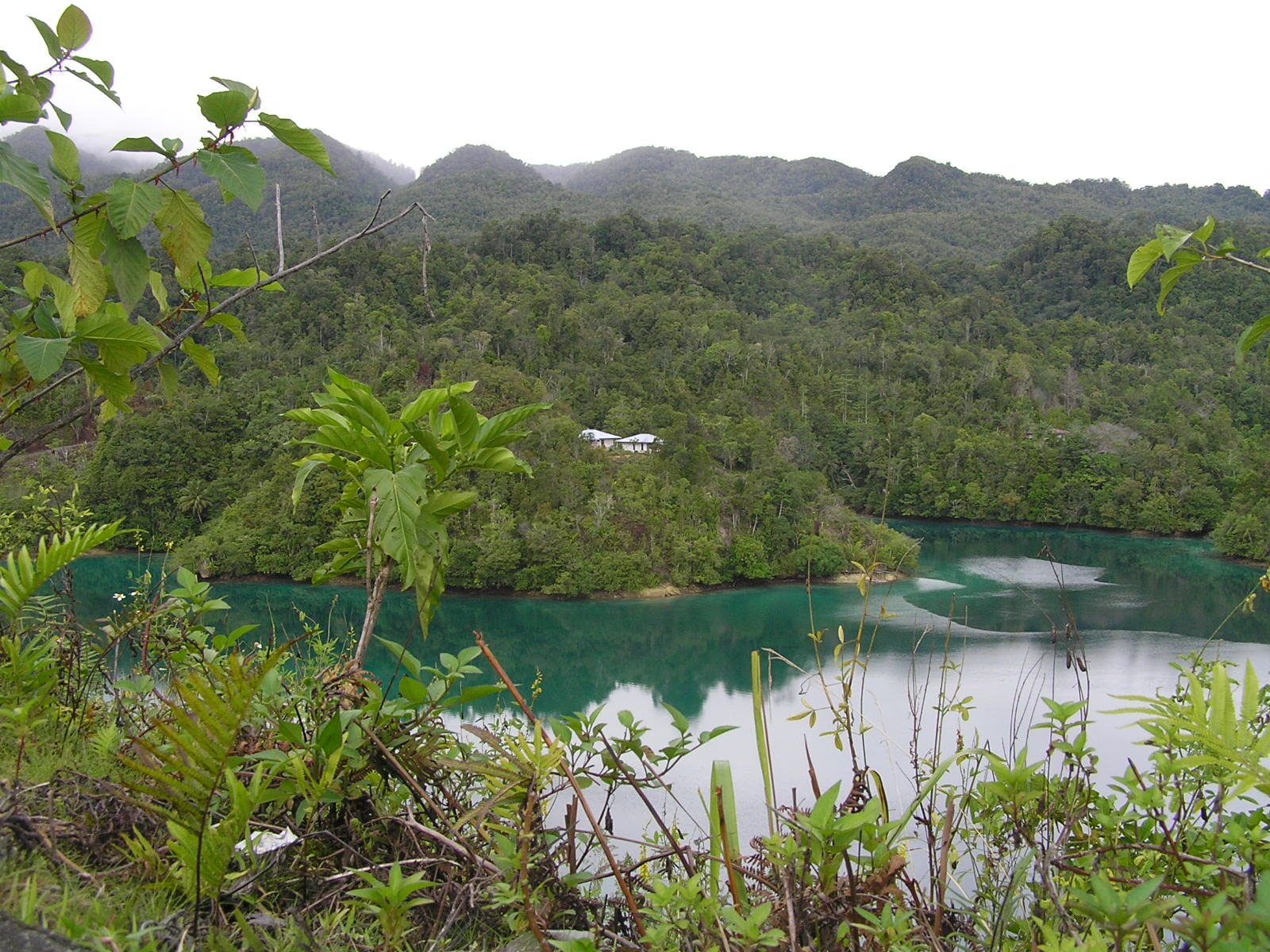 BILLY TKJ ( PUTRA SERUI ): KOTA SERUI (KOTA ACIS)