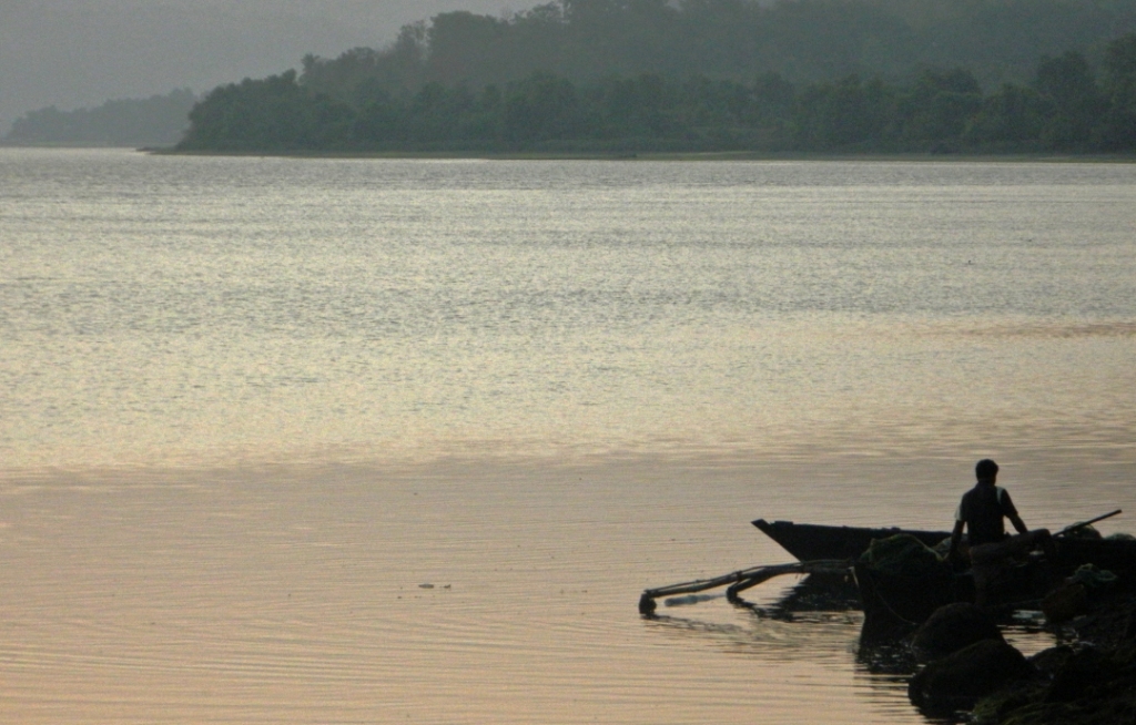 Crocodile safari at Maldoli backwater,Maharashtra,India | Travel life ...