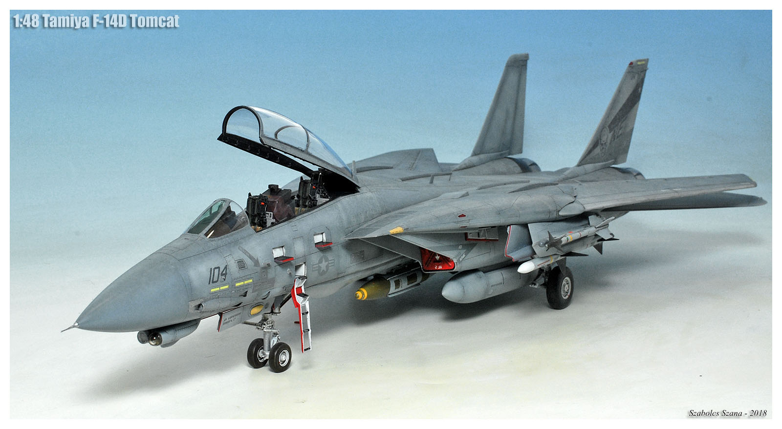 Wings of Glory: 1/48 Tamiya F-14D Tomcat