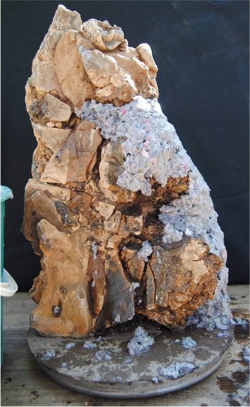 LENNARD'S BONSAI BEGINNINGS.: Experimental root over rock/root clinging ...