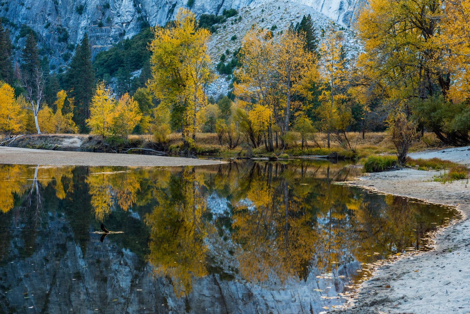 moss images: Late October Fall Colors across the Sierra Nevada