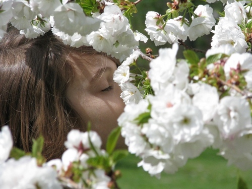 The Pages of Avalon: TAKE TIME TO SMELL THE FLOWERS