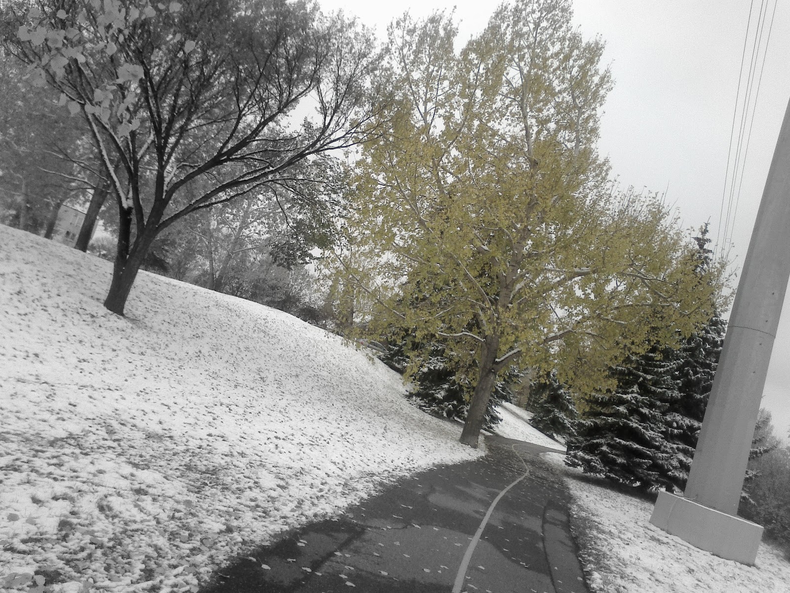 the kananaskis traveler: calgary/first snow