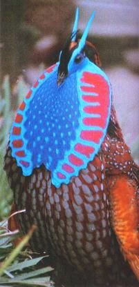 Real Monstrosities: The Blues IV