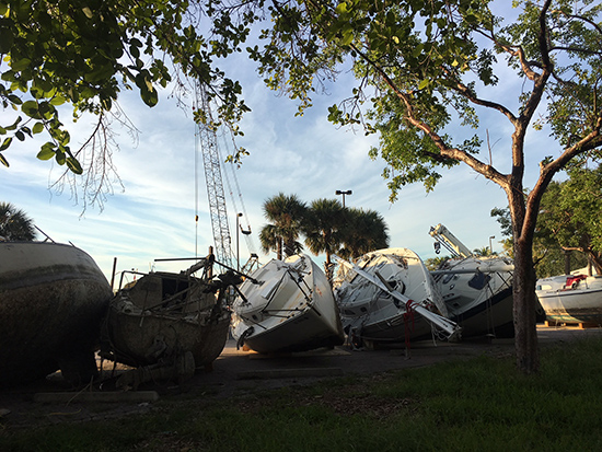 Coconut Grove Grapevine: The Coconut Grove boat graveyard