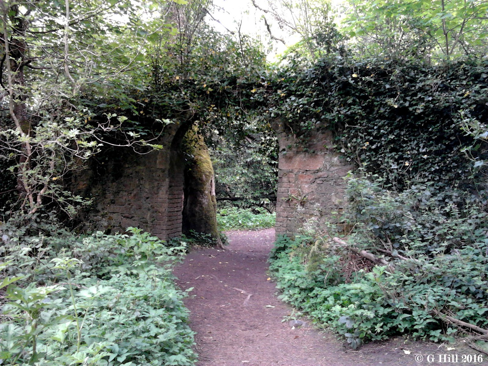 Ireland In Ruins: Massy's Wood Estate Co Dublin