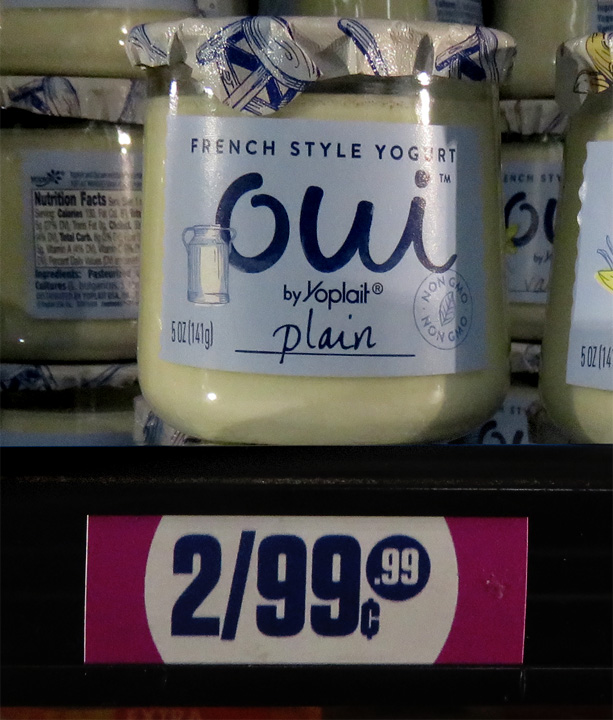 The 99 Cent Chef: Kiwi & Yogurt Recipe