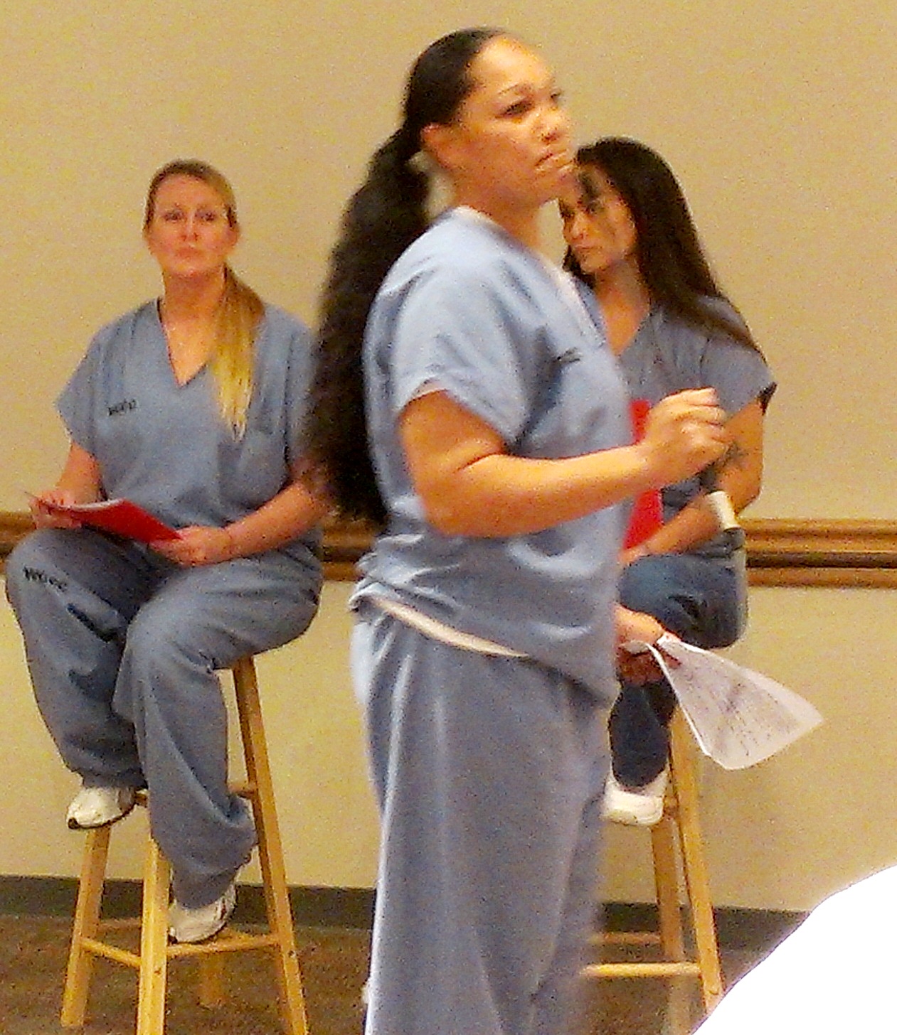 Estrogen Rising: HONOLULU PEN WOMEN FEBRUARY 2013 MEETING