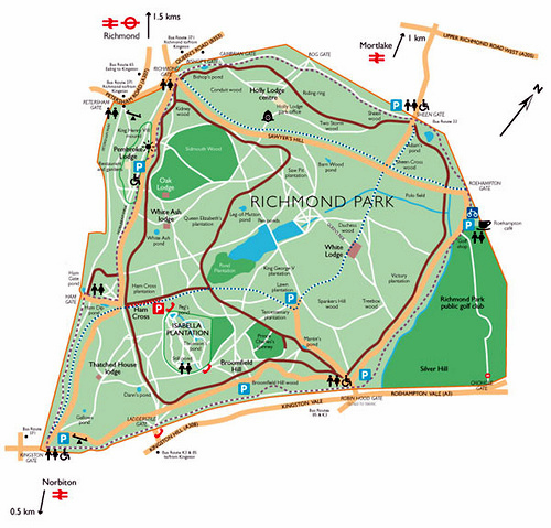 Un paseo por Londres: Richmond park