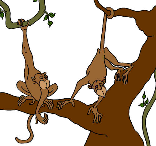 Kids Ultimate Zone: Arrogant Monkey