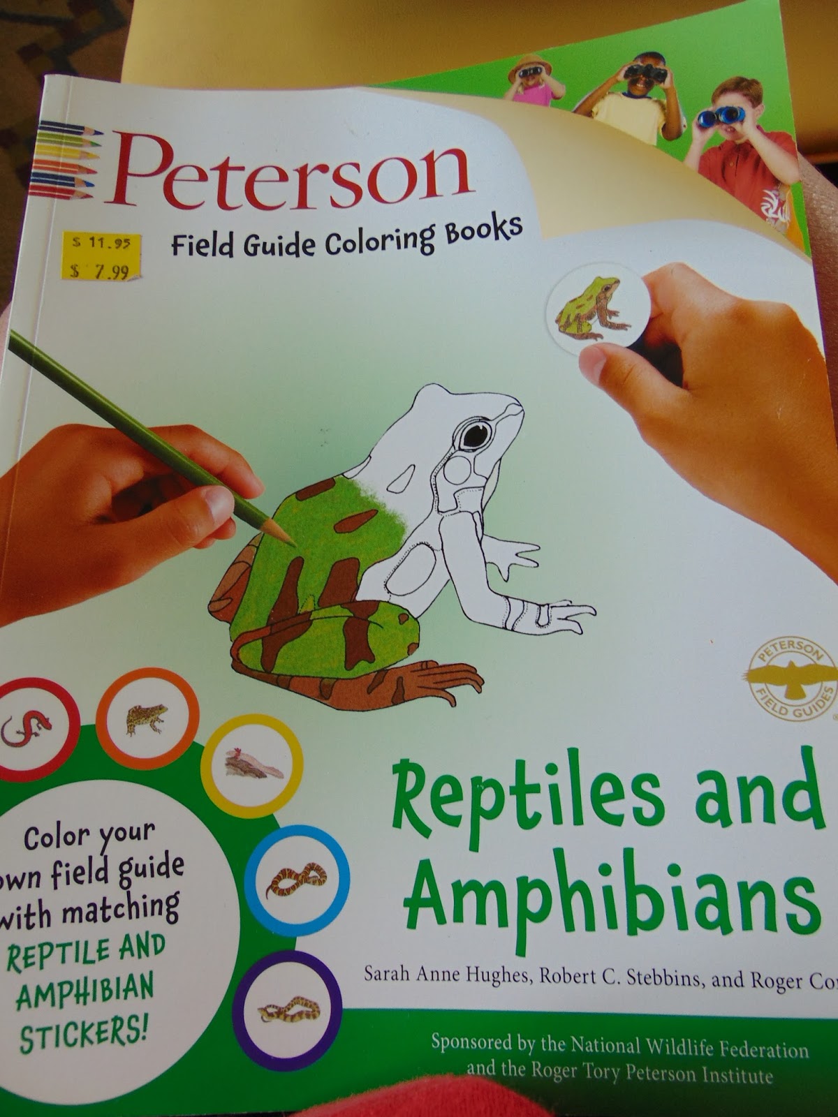 Five books, five reasons, all about adult colouring. - A Net in Time