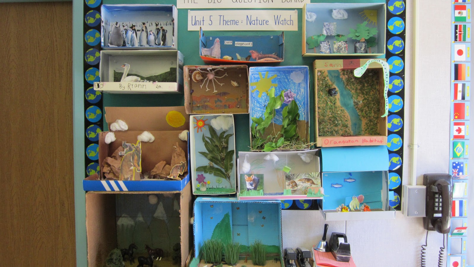 Animal Report & Diorama Projects
