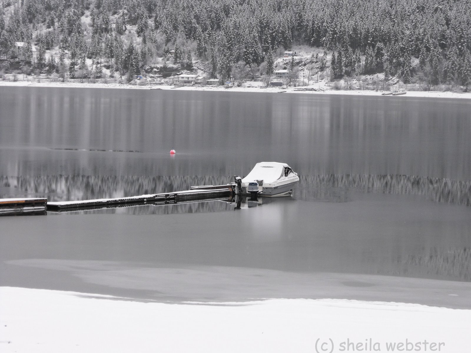 we-love-kamloops: Blind Bay ~ Shuswap Lake, BC ~ Canada