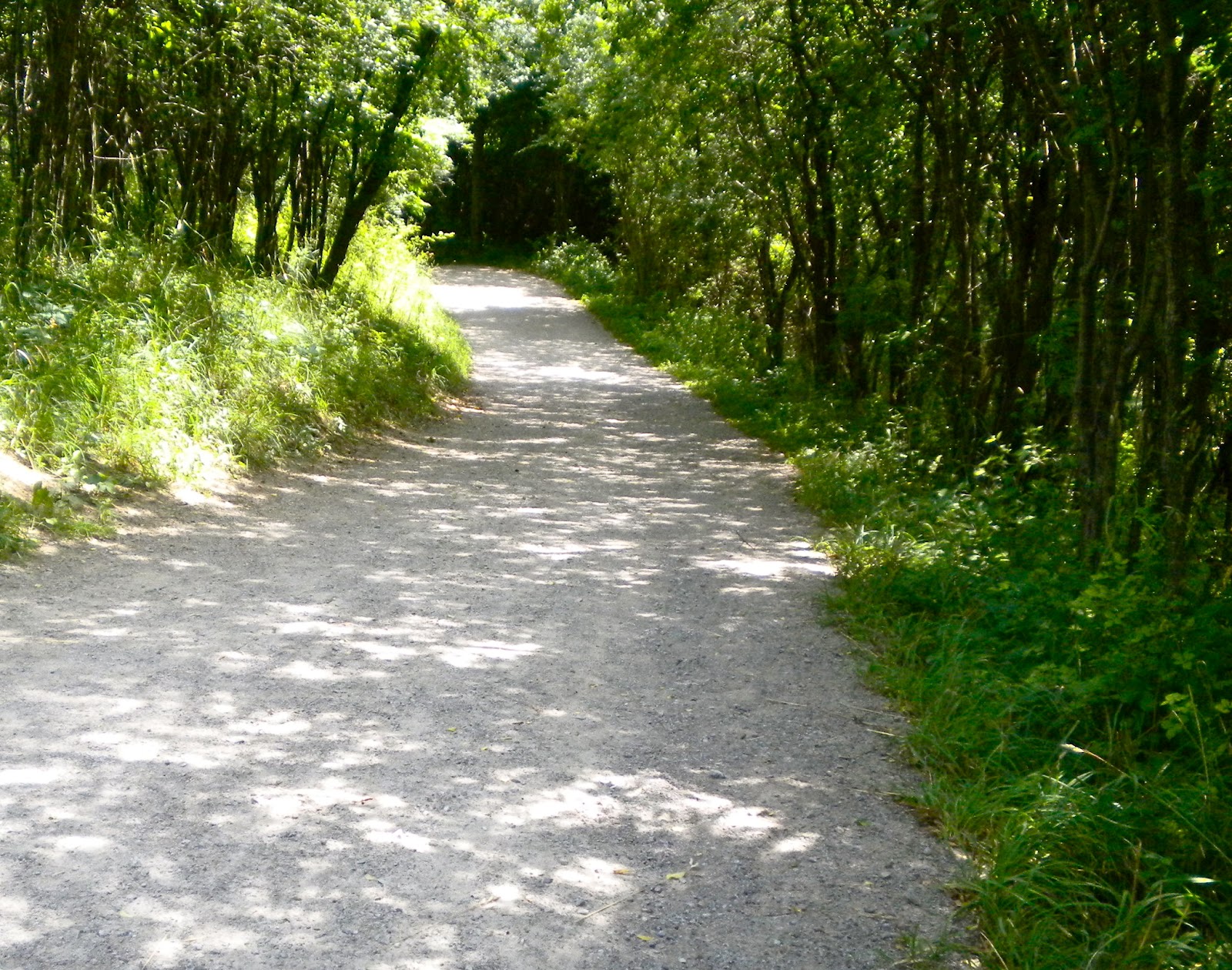 Green Persuasion: Hamilton's Green Space: Main Loop Trail (Dundas ...