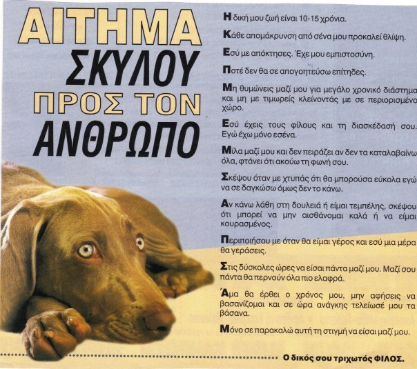 Η ζωη με μια αλλη ματια: Ανθρωποι και κατοικιδια