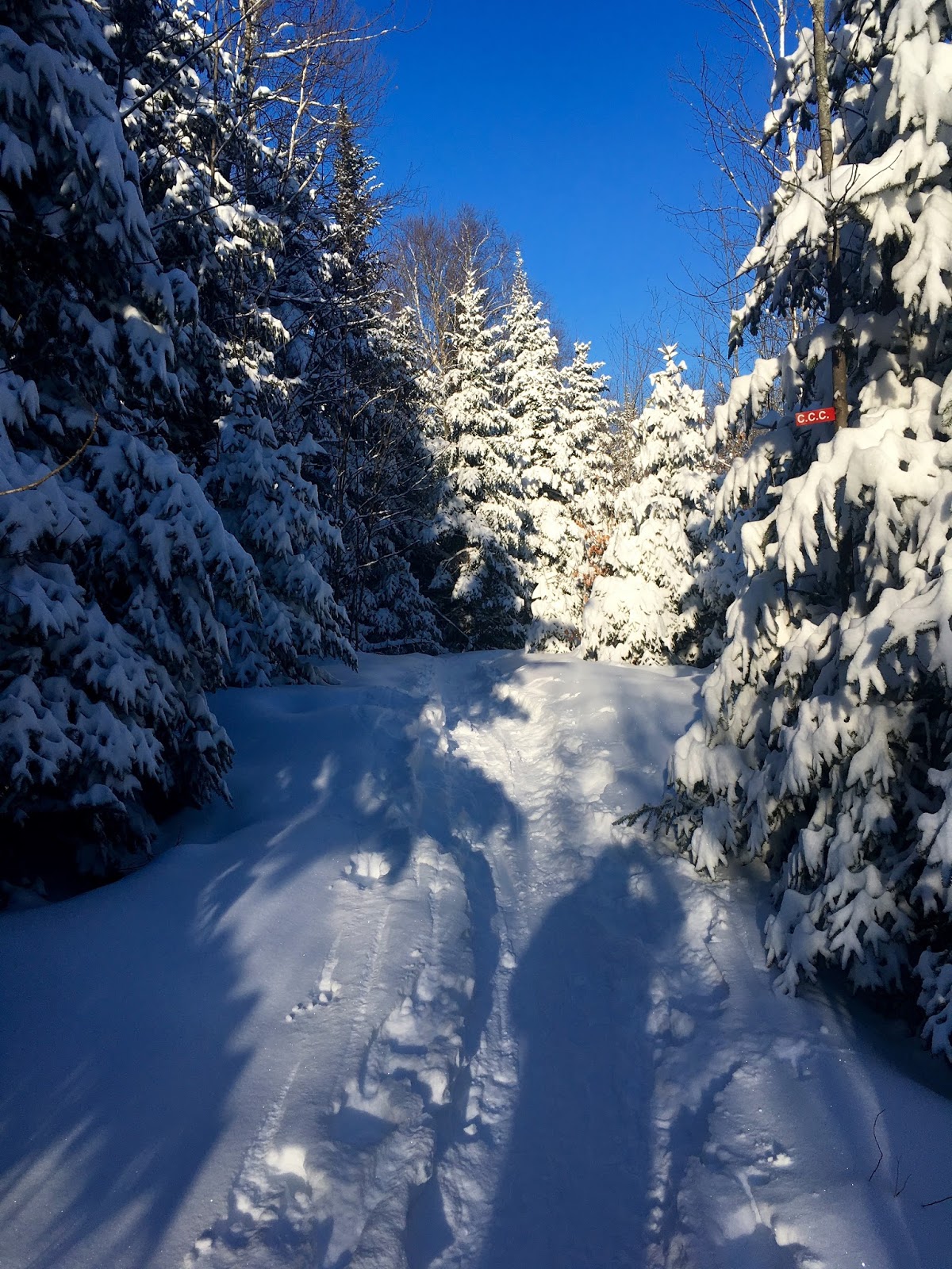 Skiglisse: La CCC et l'arrière-pays du mont Gabriel