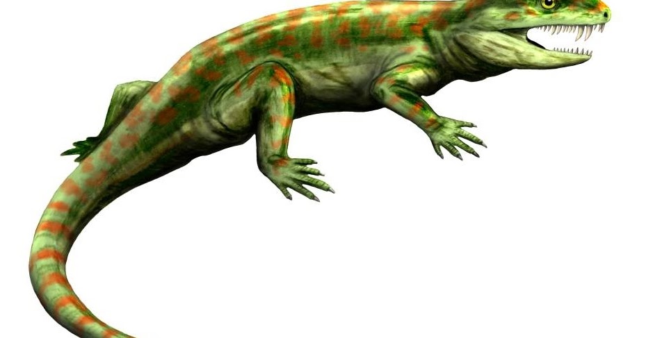 반룡류 이야기 (4) - 진짜 반룡류가 되지 못한 반룡류