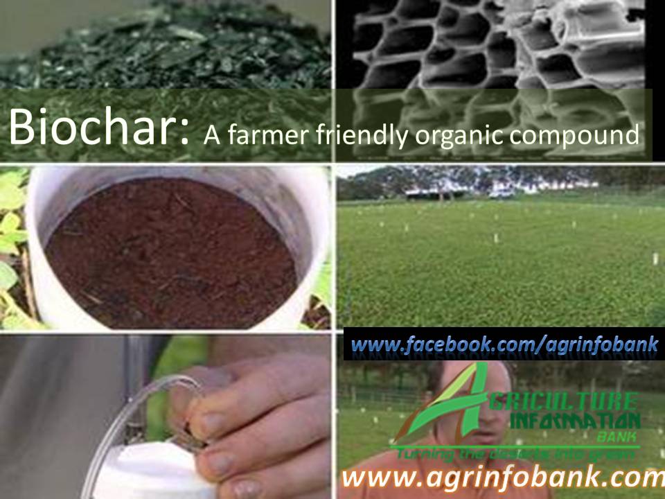Biochar: A farmer friendly organic compound | Agriculture Information Bank