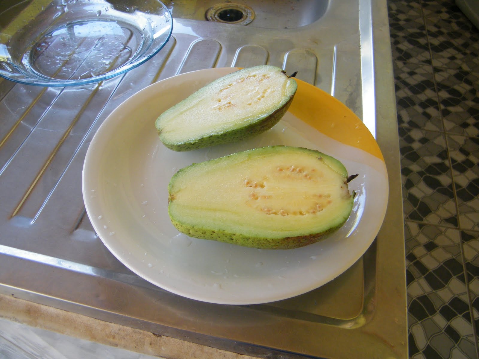 CHÁCARA REZENDE FERRAZ: Goiaba Pêra