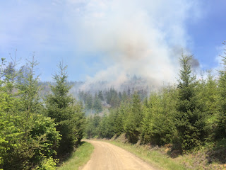 Forest Grove District : Wanless White Fire - 5/13/16